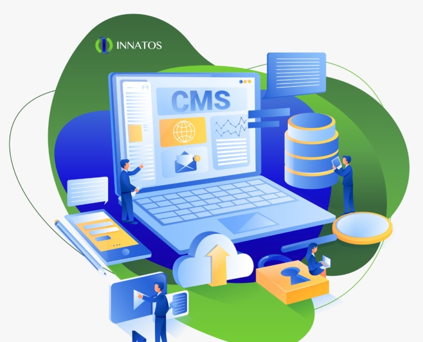 Management system: what is it? How many types are there? | Innatos